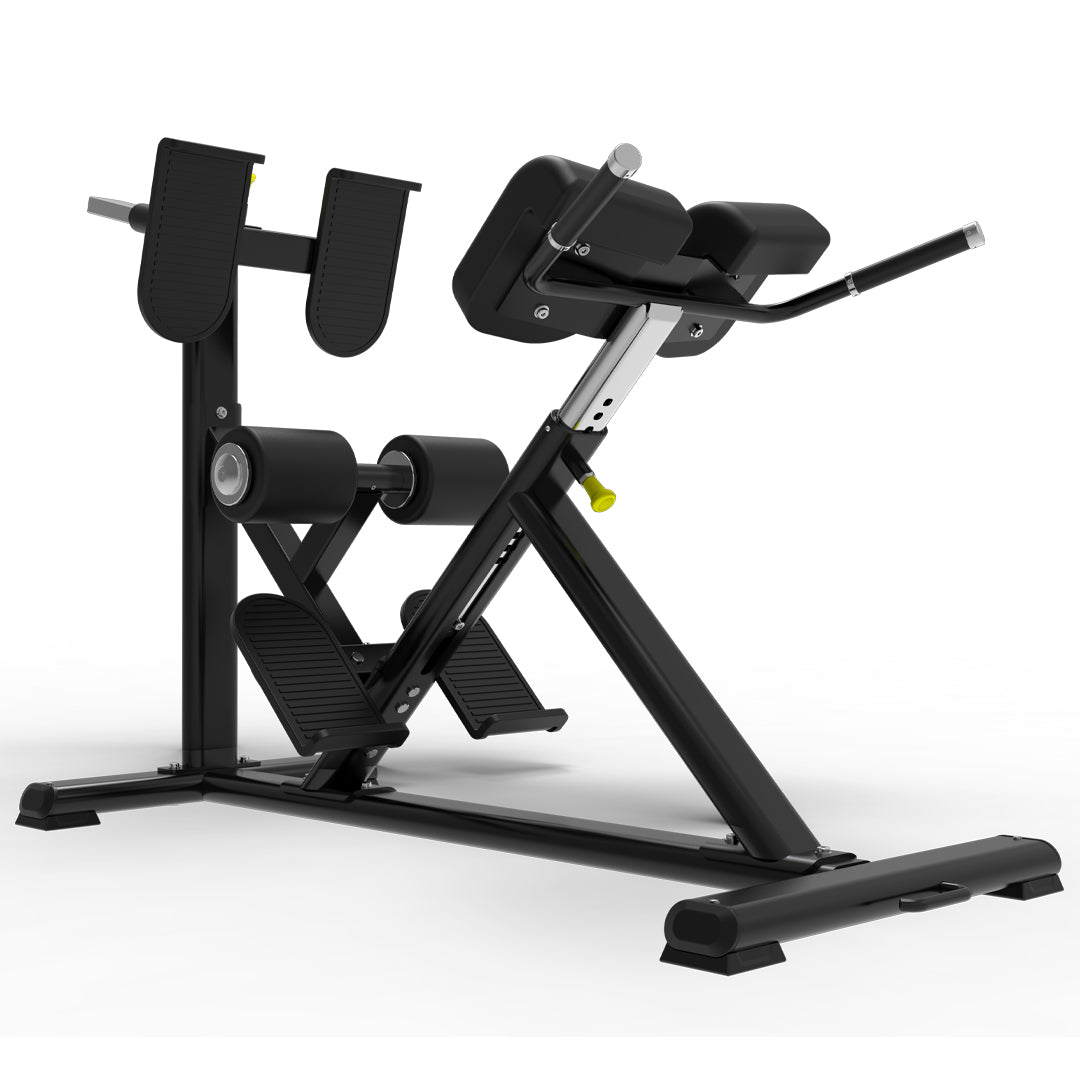 IRONAX - XFW BEB Back Extension Bench – The Treadmill Factory