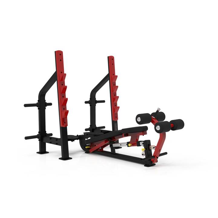 EL 7041 Multi Adjustable Olympic Bench Iron – The Treadmill Factory